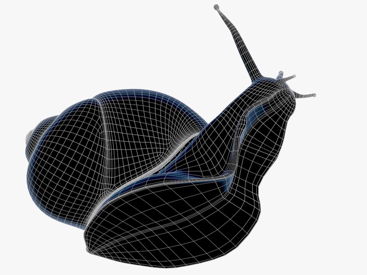 3D Metallic Shell Model - TurboSquid 1364013