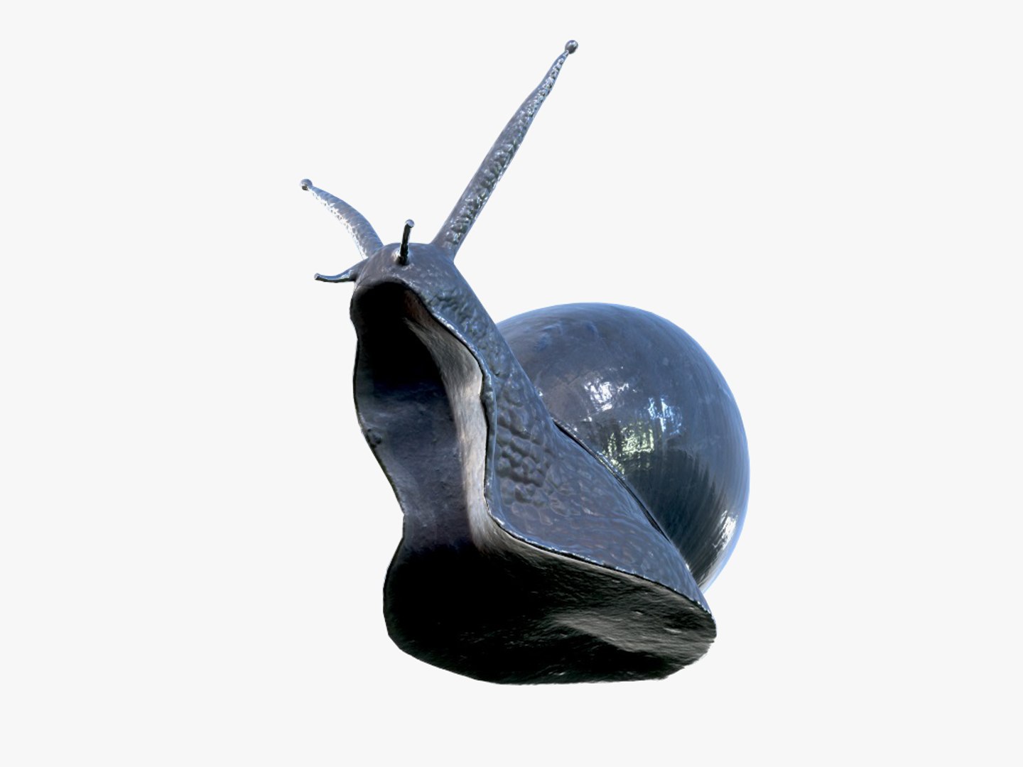 3D Metallic Shell Model - TurboSquid 1364013