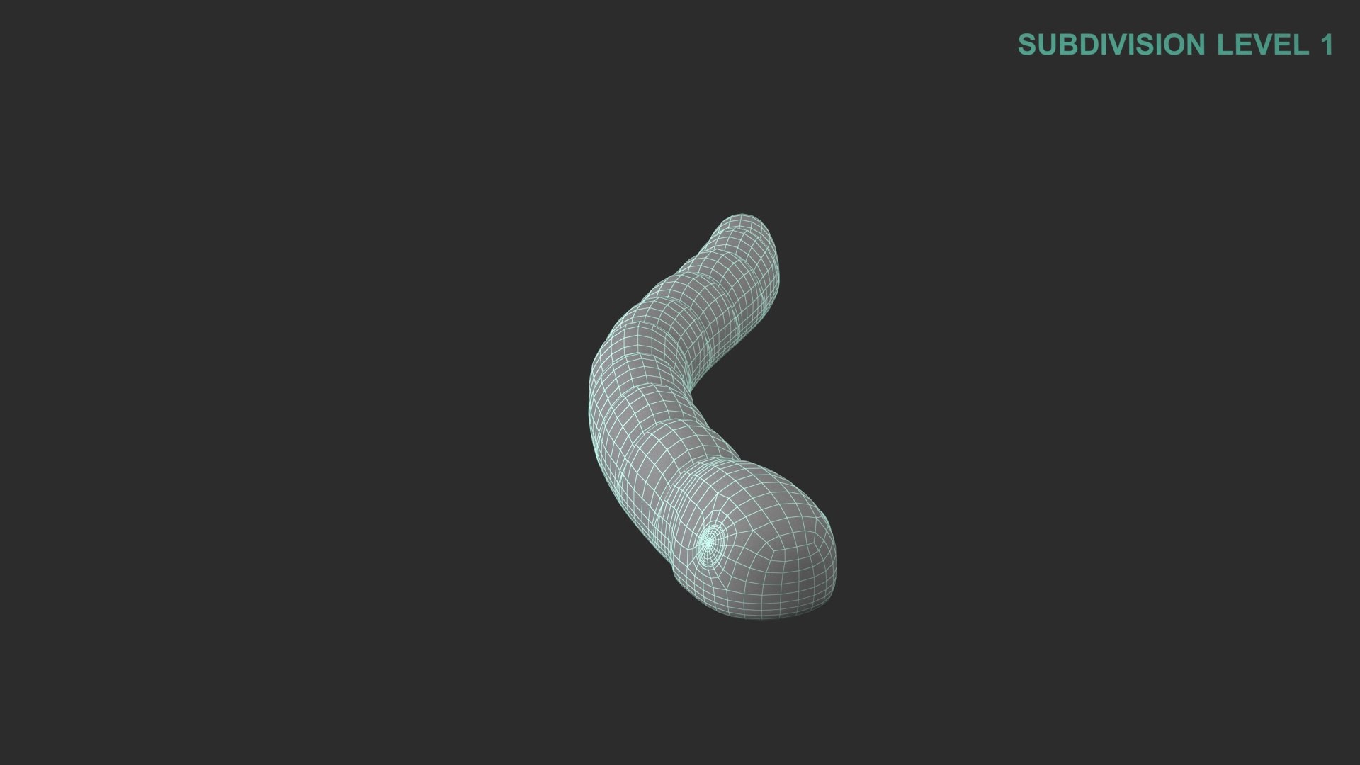 Gummy Worm 3D Model - TurboSquid 2046402