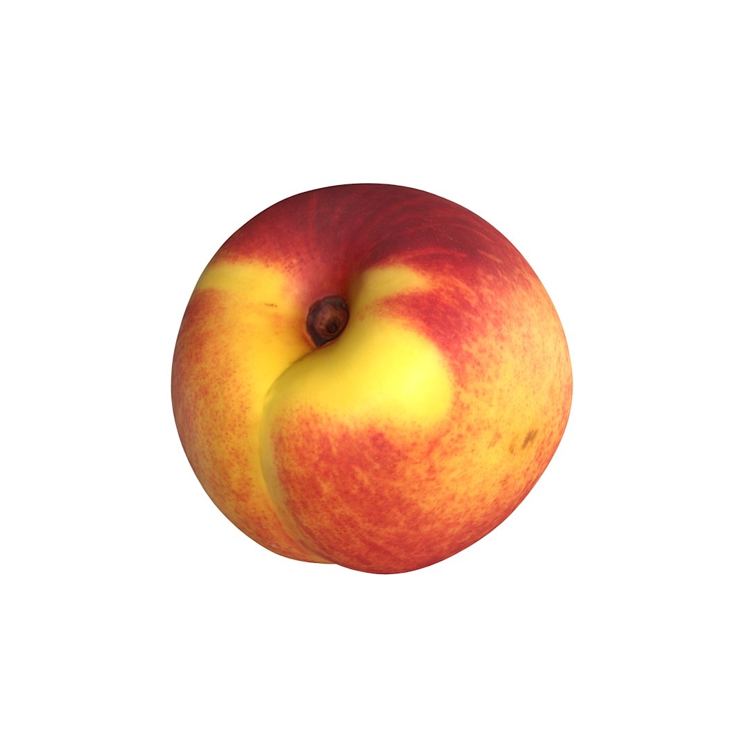 3D Model Realistic Pbr 4k - TurboSquid 1434633