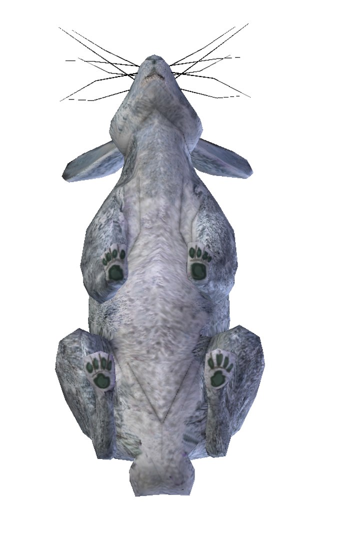 3d X Realistic Rabbit Animation