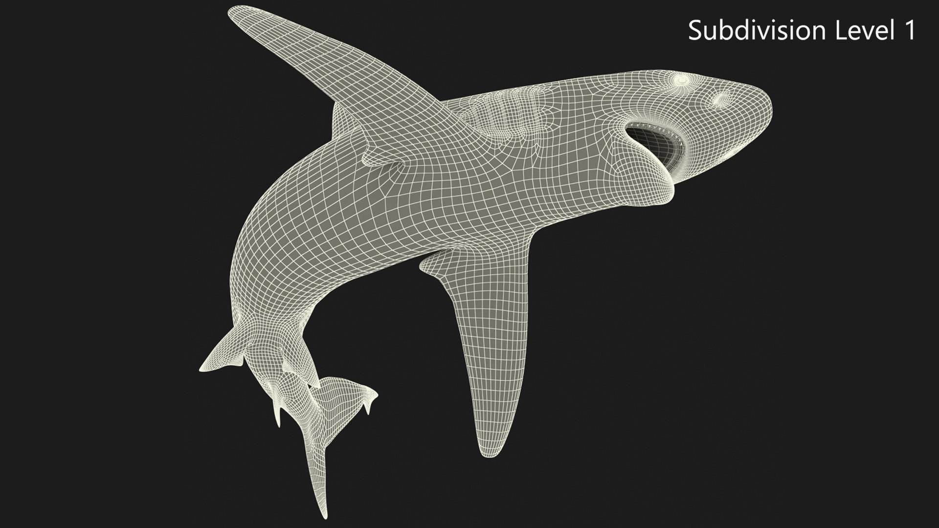 Realistic Whaler Shark Rigged For Cinema 4D 3D Model - TurboSquid 2381842