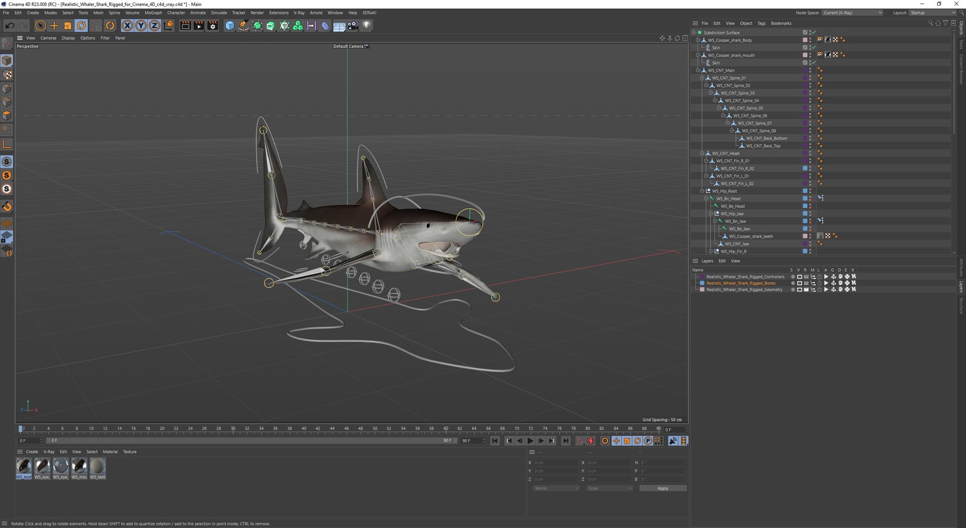 Realistic Whaler Shark Rigged For Cinema 4D 3D Model - TurboSquid 2381842