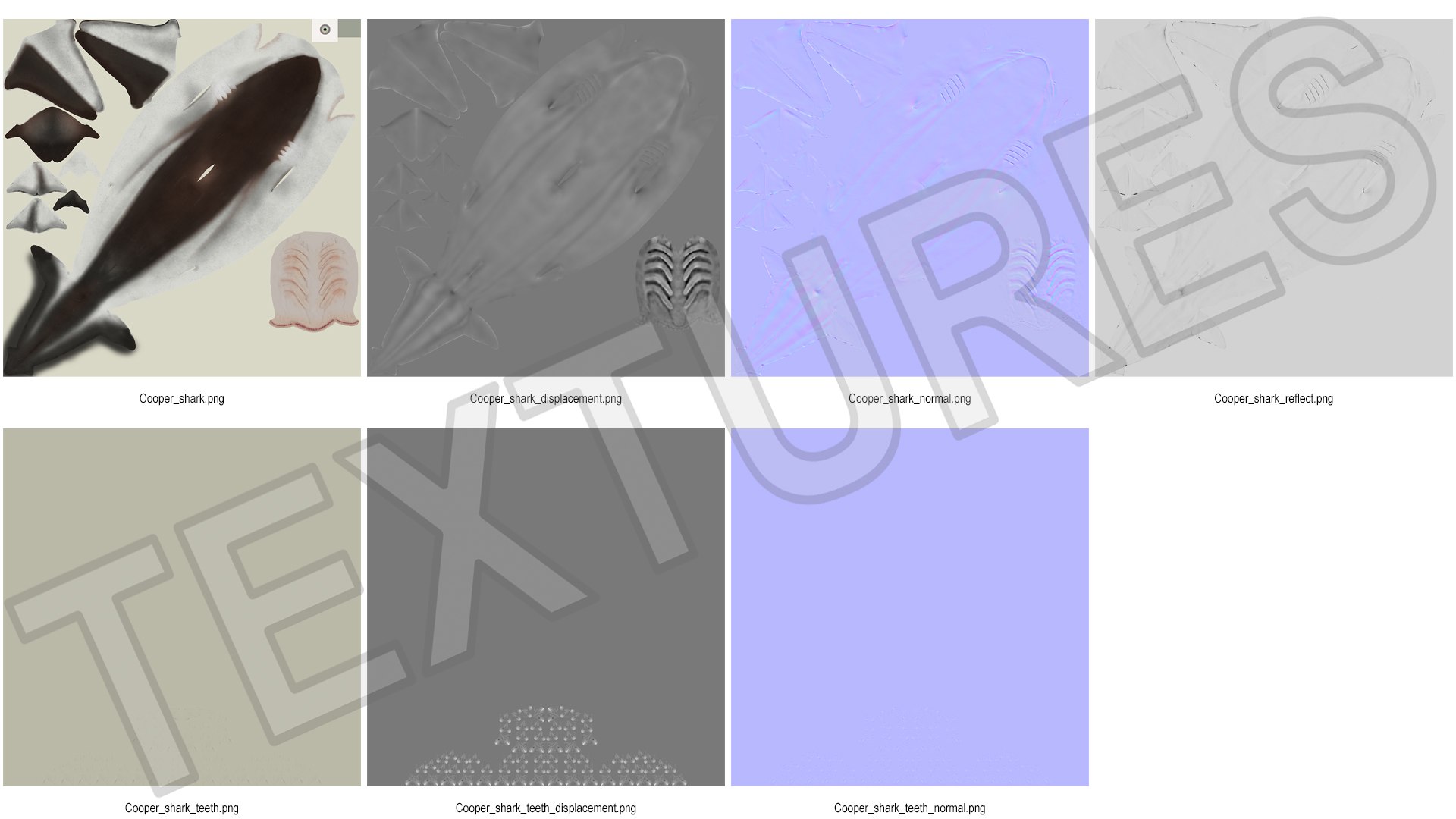 Realistic Whaler Shark Rigged For Cinema 4D 3D Model - TurboSquid 2381842