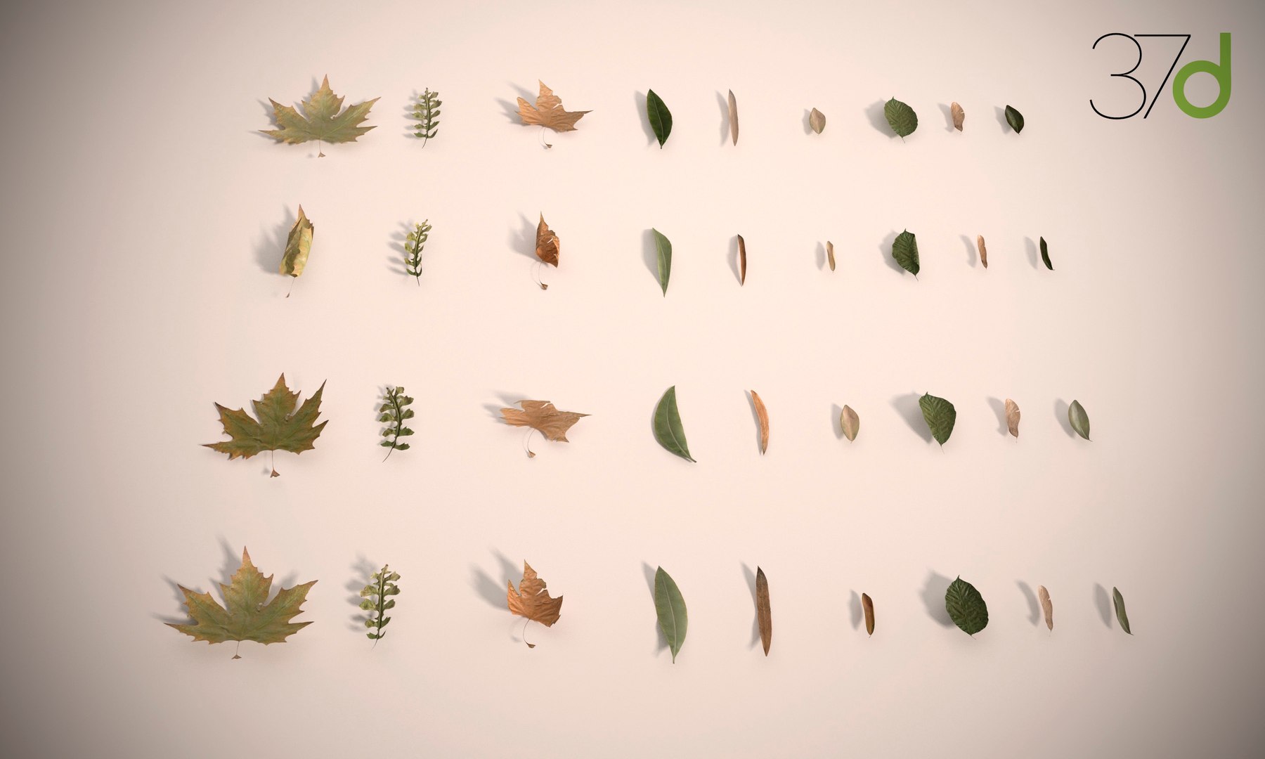 Photorealistic Leaves - Volume 2 3d 3ds