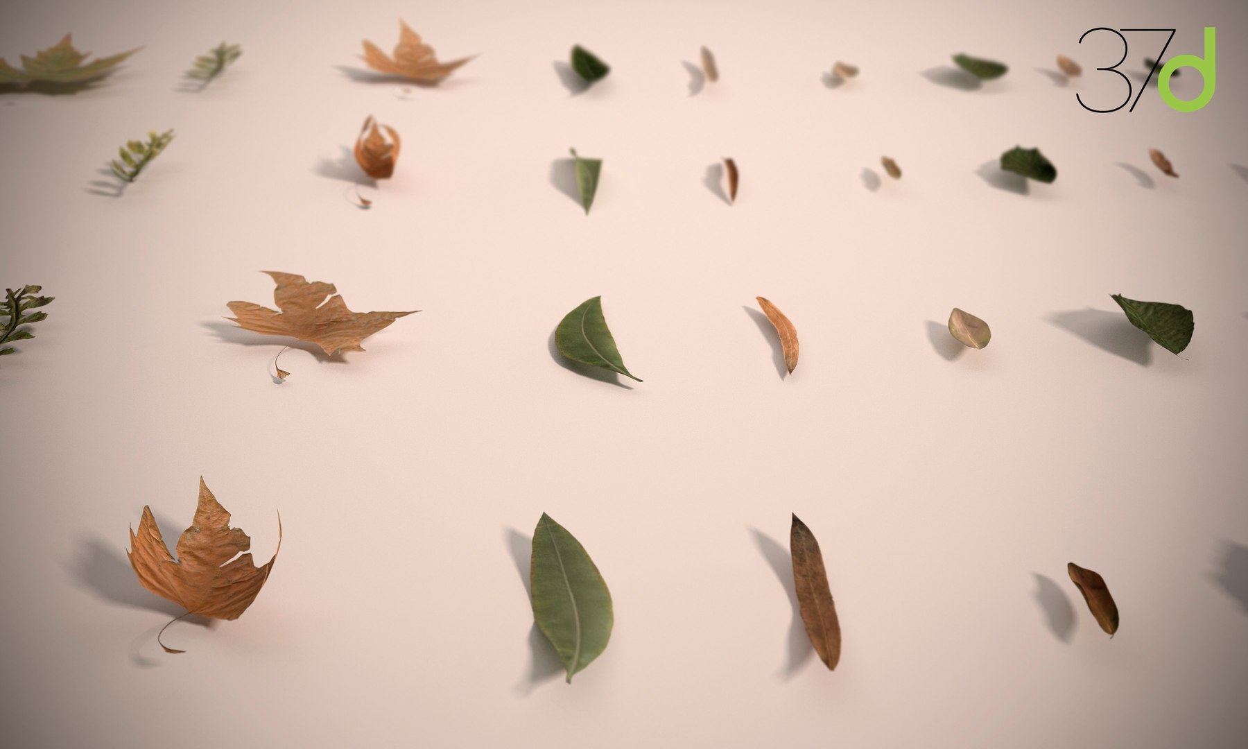 Photorealistic Leaves - Volume 2 3d 3ds