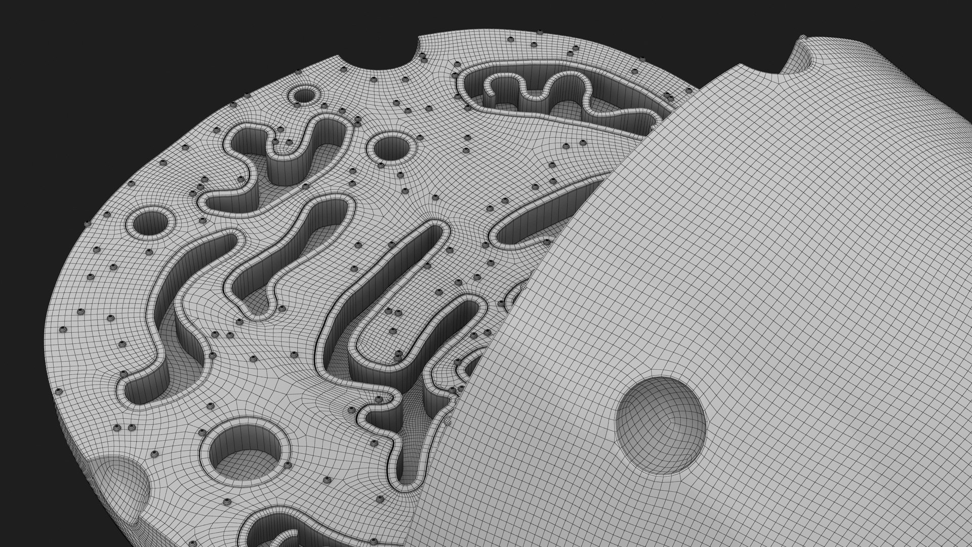3D Model Animal Cell - TurboSquid 1574424