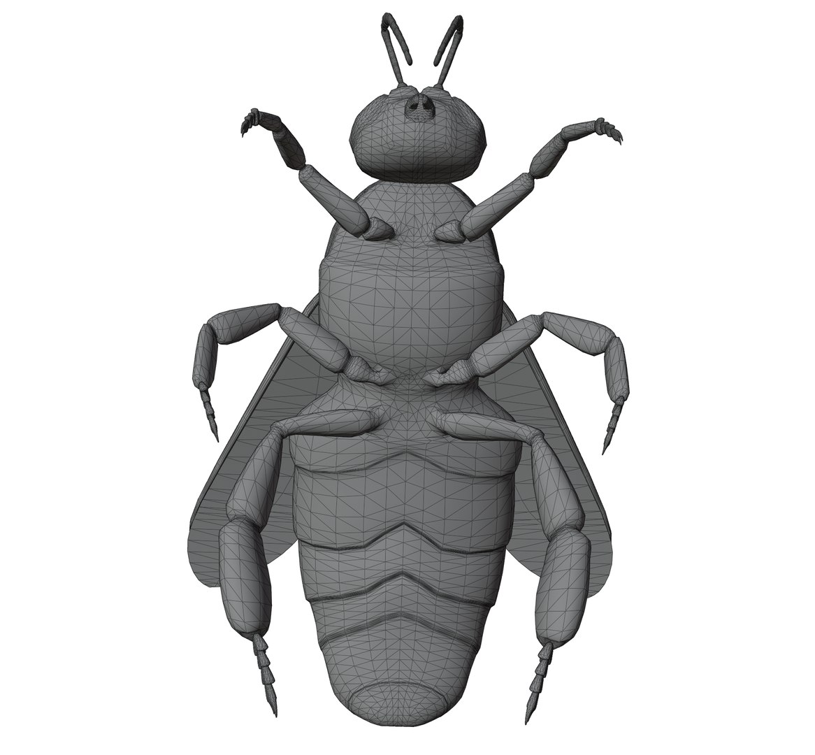 3D Bee really model - TurboSquid 2083172
