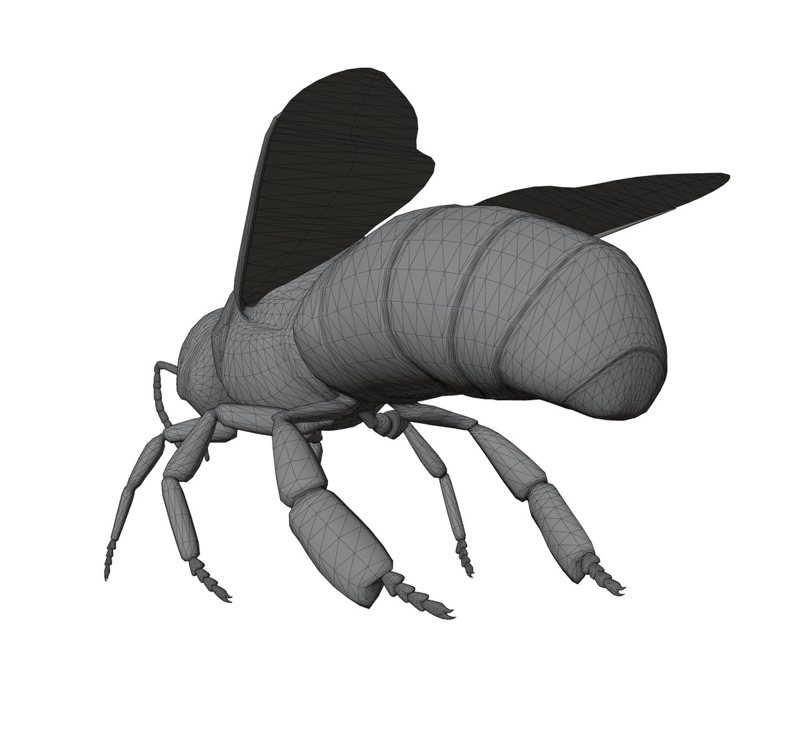 3D Bee really model - TurboSquid 2083172