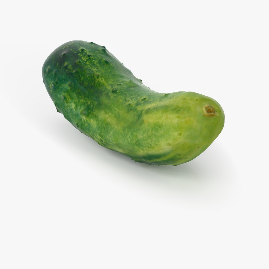 Realistic Cucumber Real 3d C4d