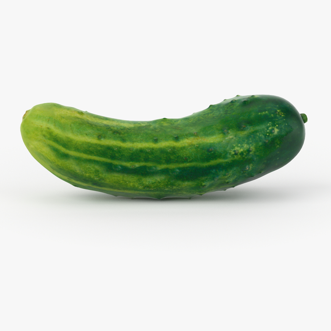 Realistic Cucumber Real 3d C4d