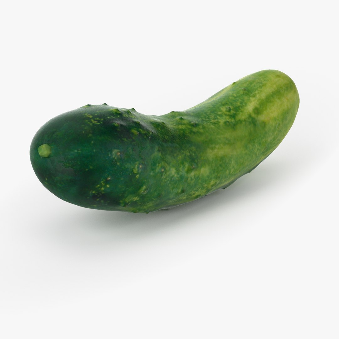 Realistic Cucumber Real 3d C4d