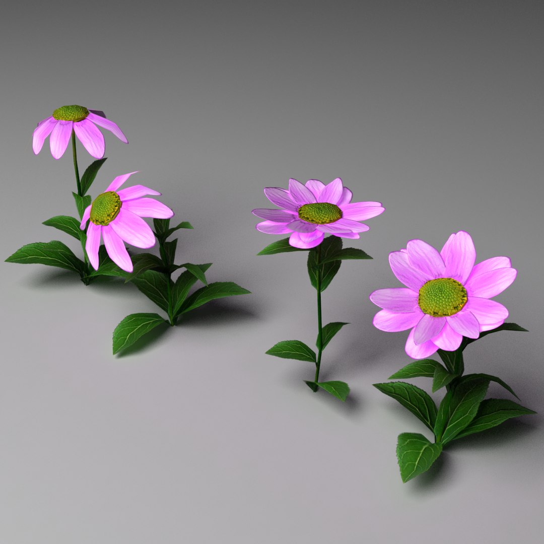 3d flowers model
