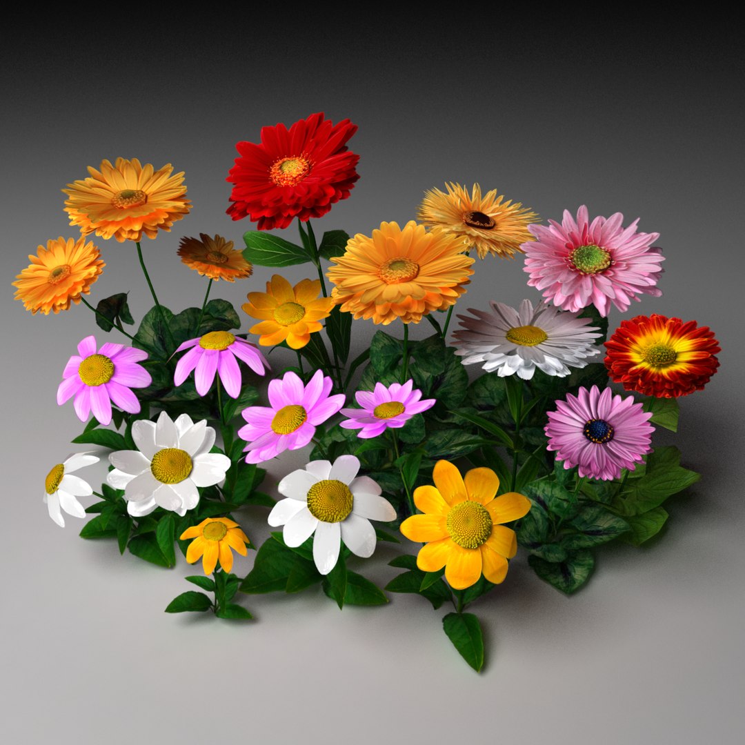 3d flowers model