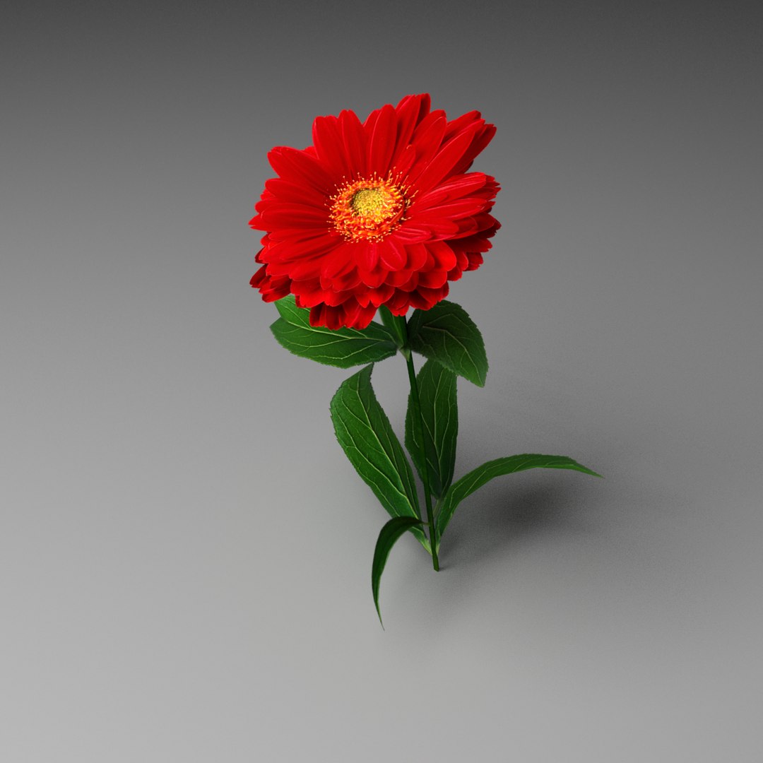 3d flowers model