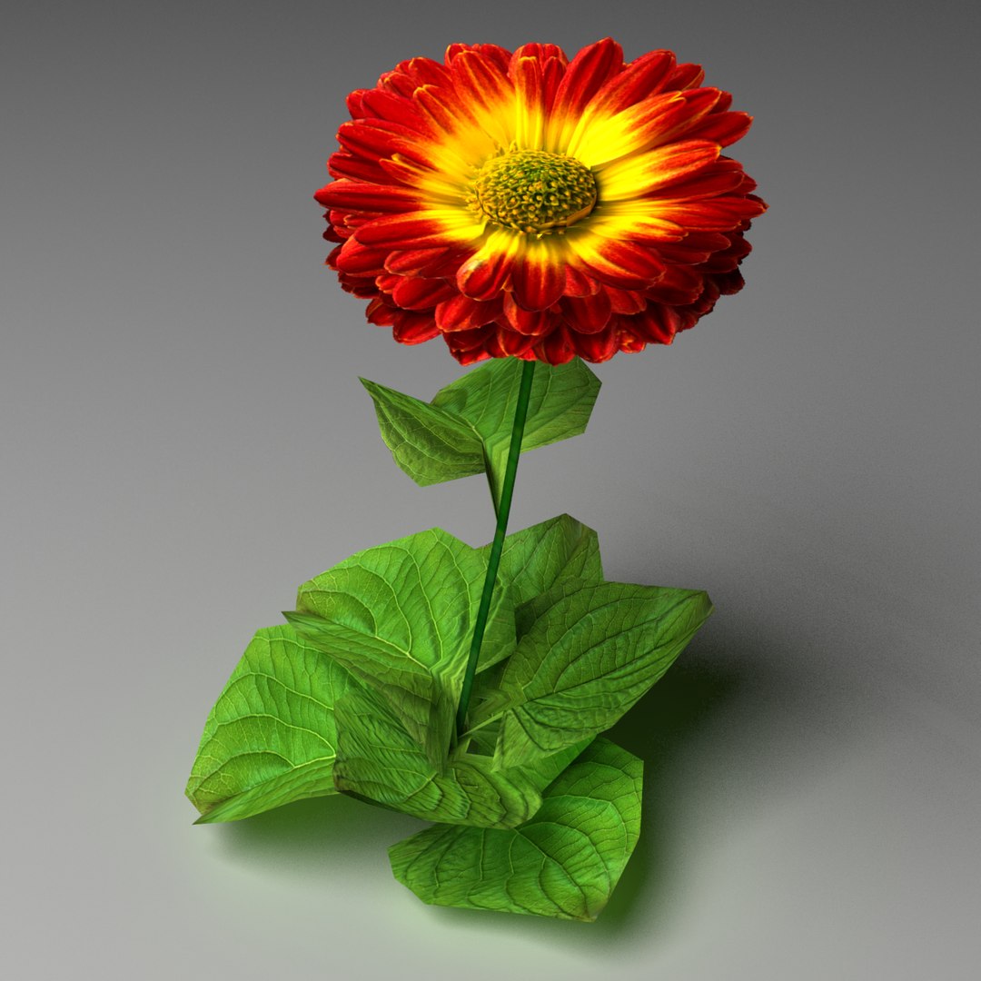 3d flowers model