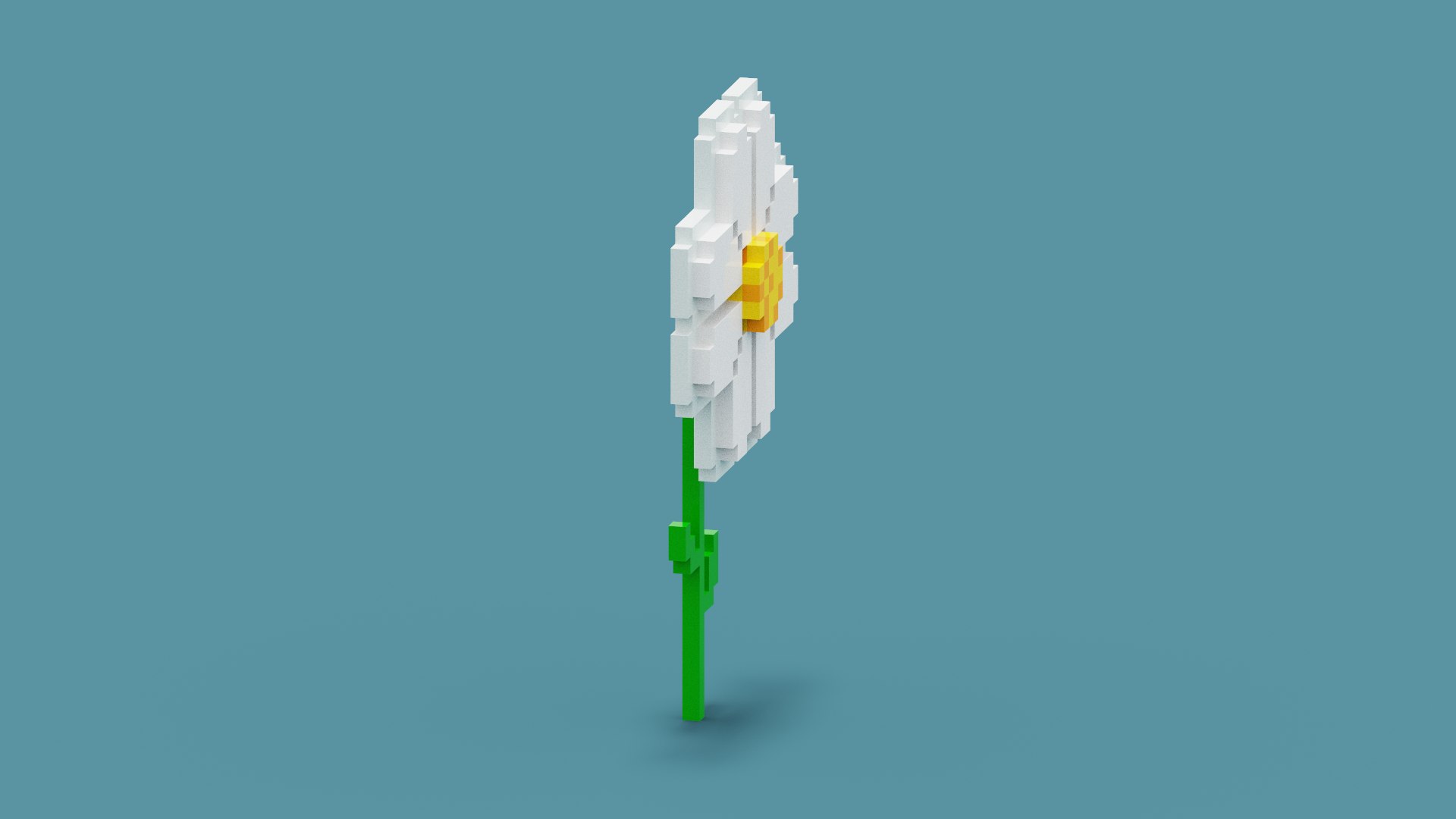 Voxel Daisy Flower 3D Model - TurboSquid 1924710