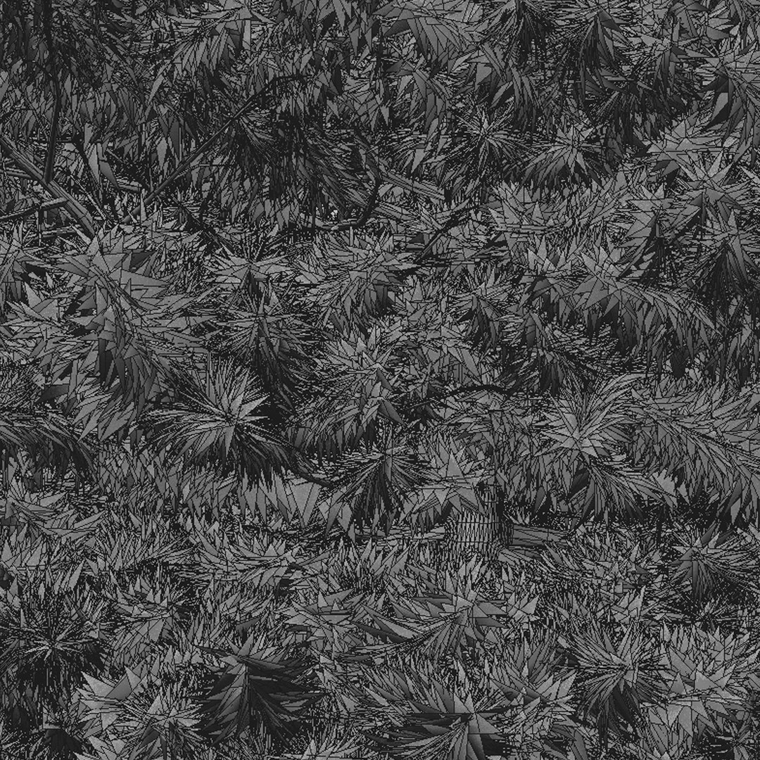 Abies Cilicica Or Cilician Fir Tree 3D Model - TurboSquid 1987414