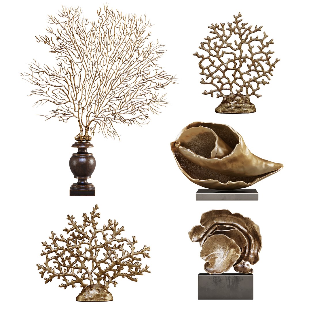 3D Coral Set 6 Model - TurboSquid 1896771