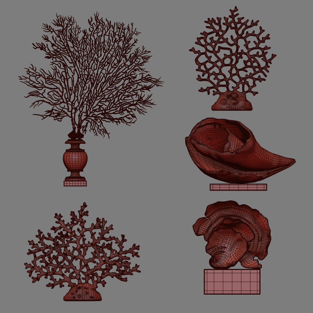 3D Coral Set 6 Model - TurboSquid 1896771