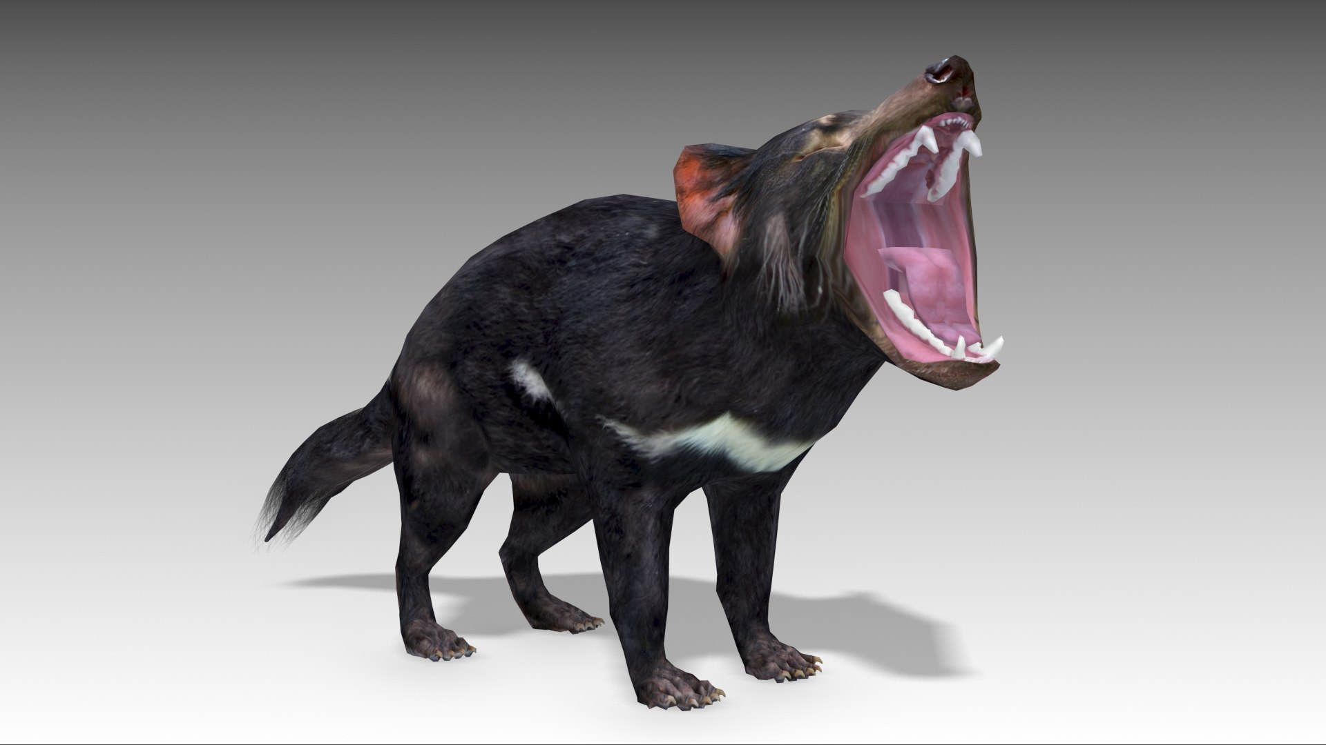 Tasmanian Devil 3D - TurboSquid 1929718