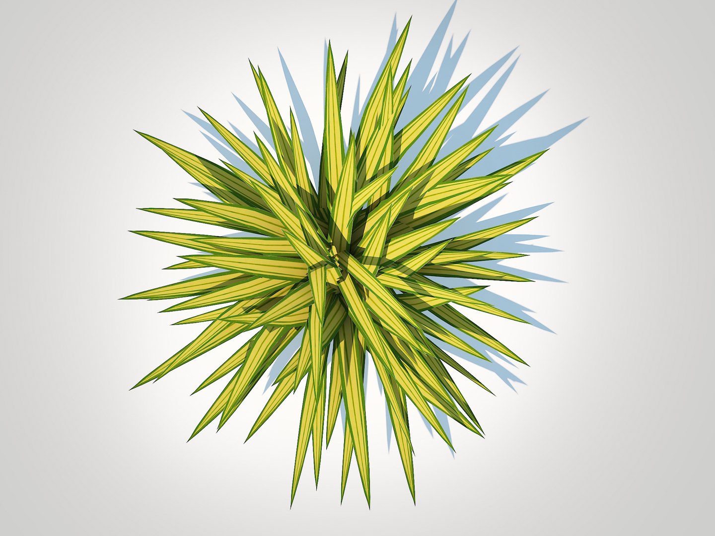 Carex Siderosticha Banana Boat Sedge 3D Model - TurboSquid 2281479