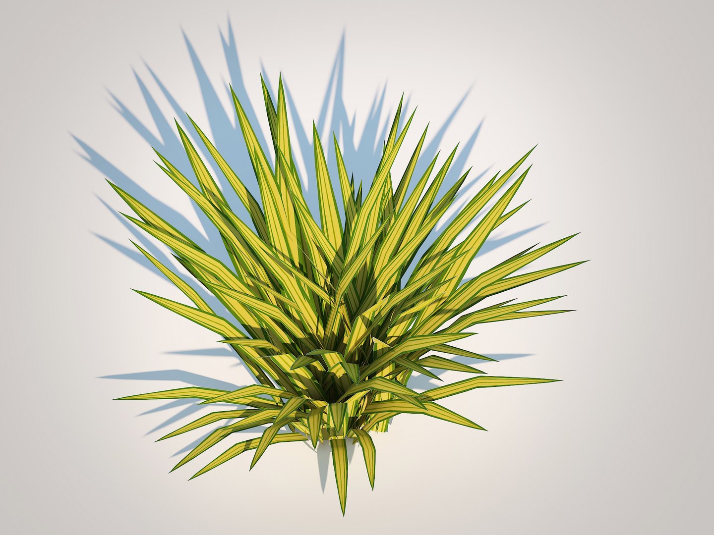 Carex Siderosticha Banana Boat Sedge 3D Model - TurboSquid 2281479