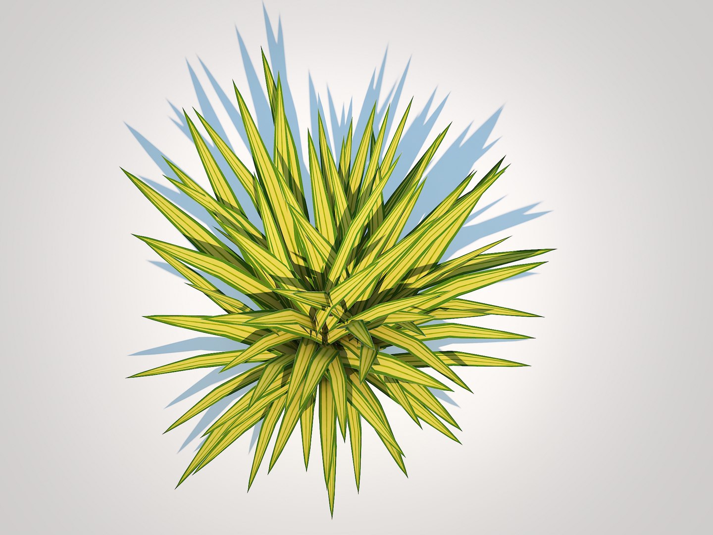Carex Siderosticha Banana Boat Sedge 3D Model - TurboSquid 2281479