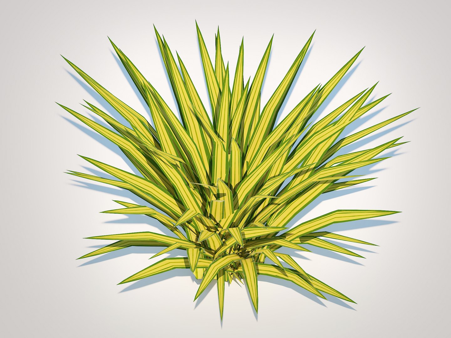 Carex Siderosticha Banana Boat Sedge 3D Model - TurboSquid 2281479