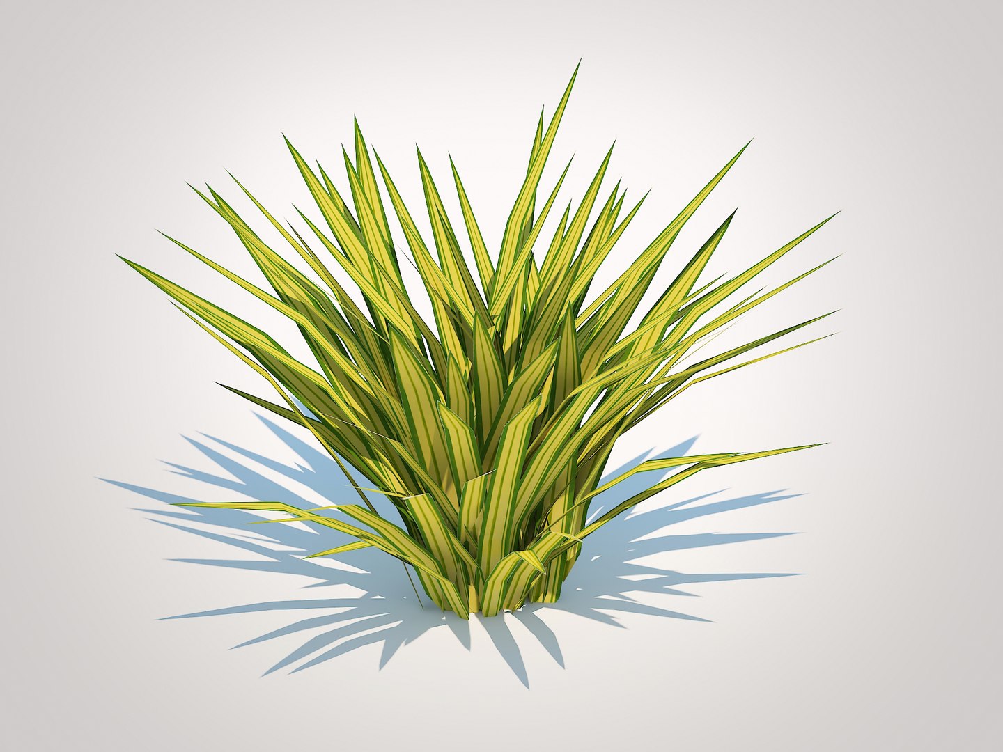 Carex Siderosticha Banana Boat Sedge 3D Model - TurboSquid 2281479