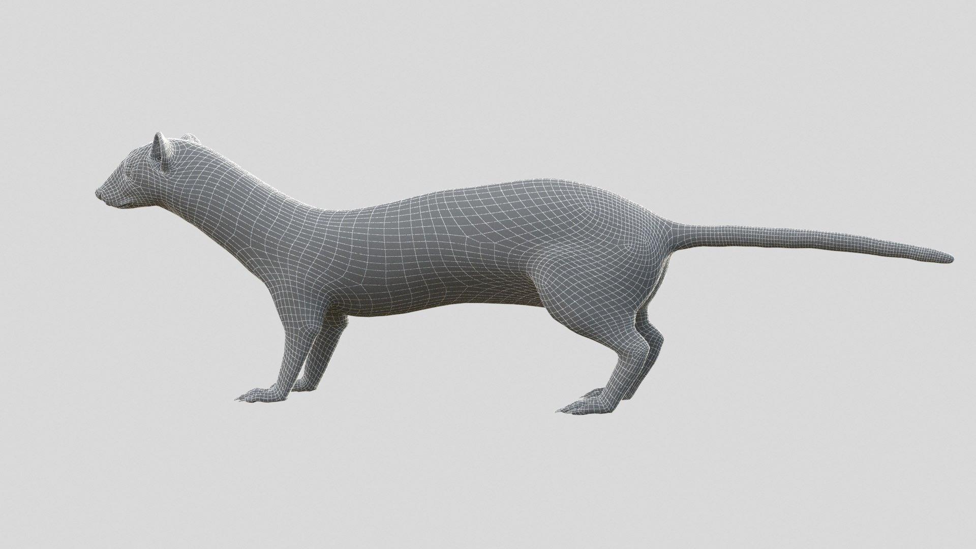 3D Model Weasel - TurboSquid 1751532