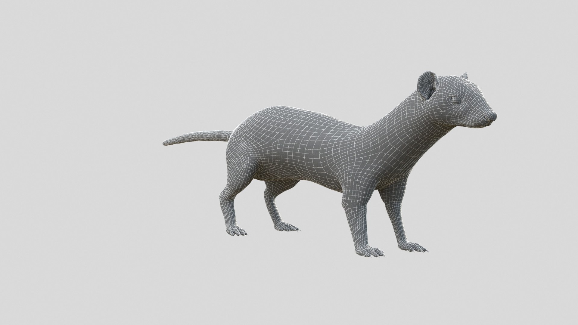 3D Model Weasel - TurboSquid 1751532