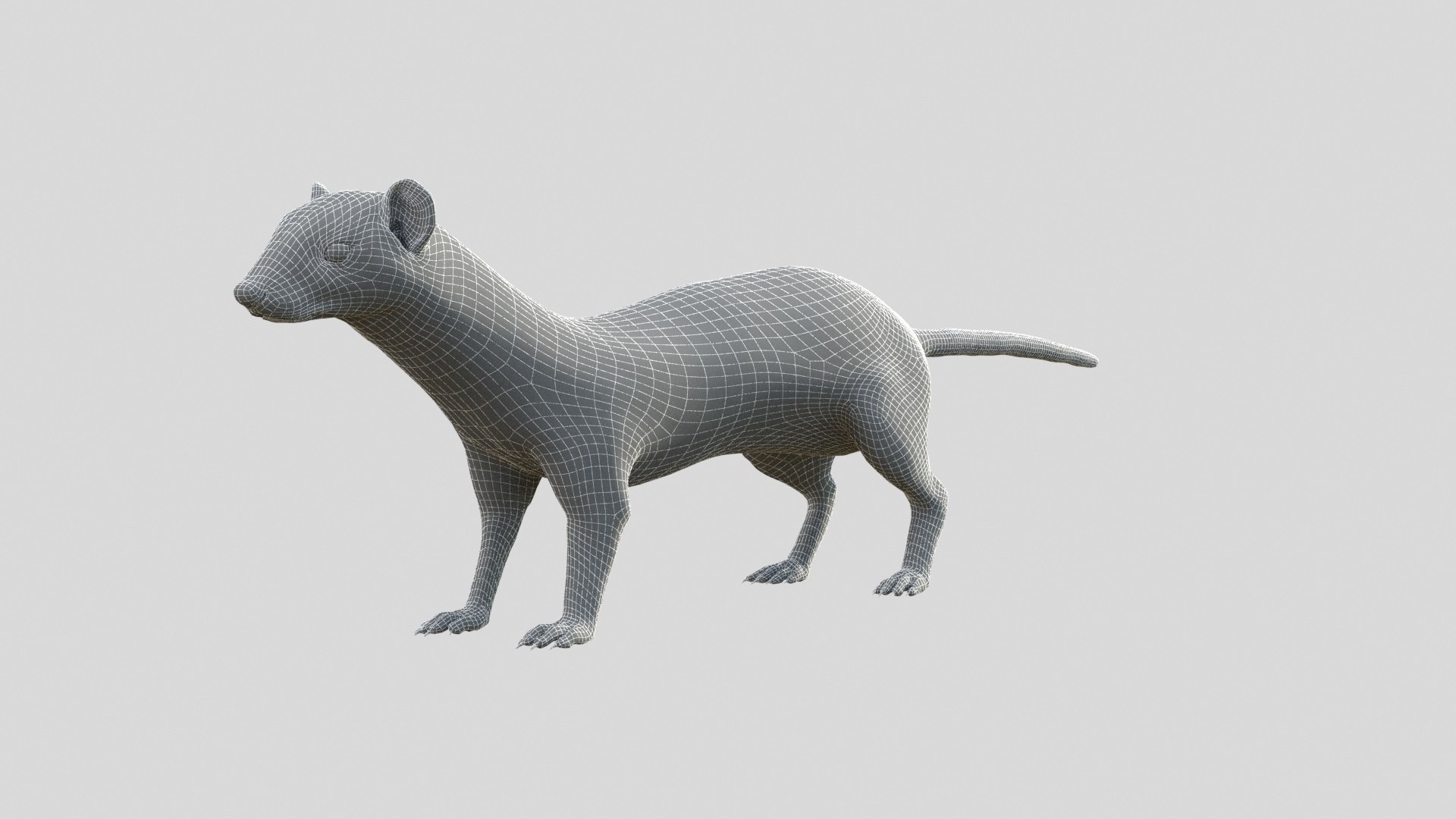 3D Model Weasel - TurboSquid 1751532