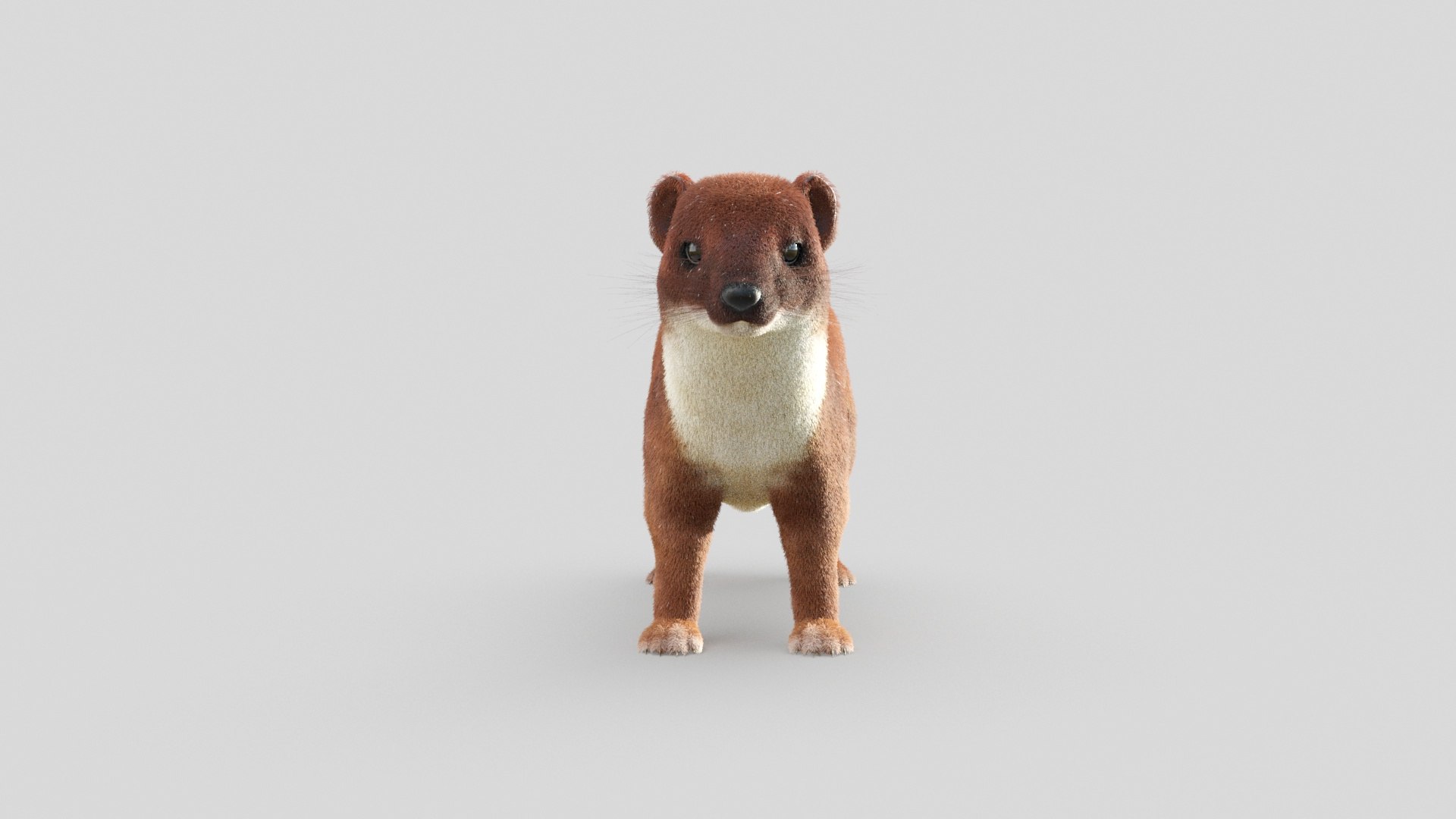 3D Model Weasel - TurboSquid 1751532