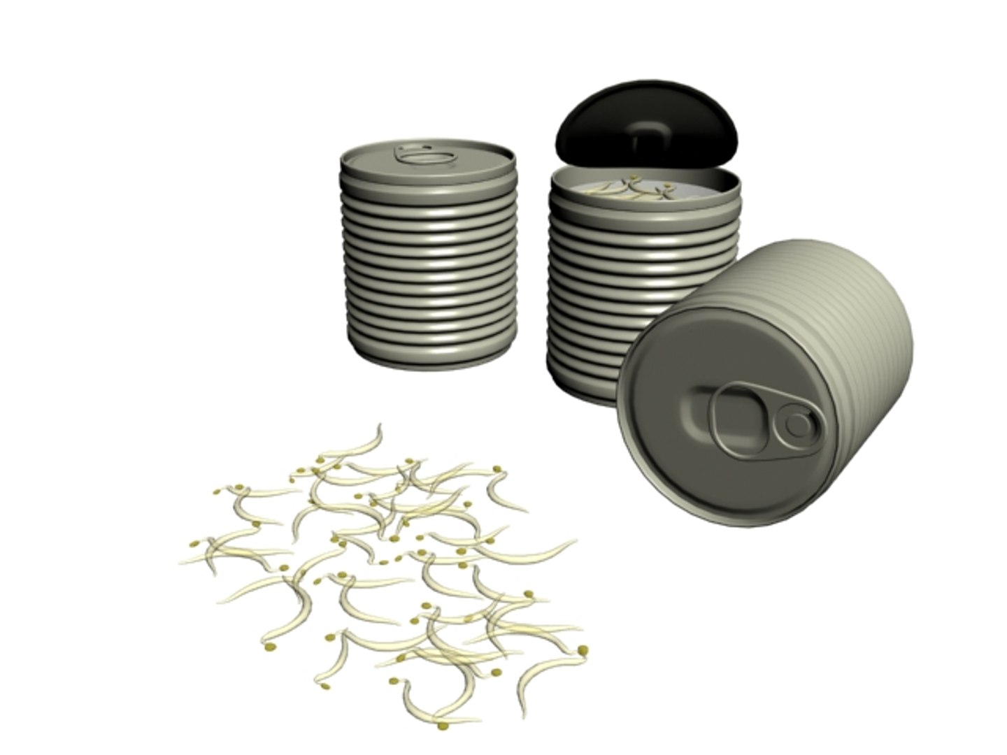 3D Bean Sprouts Tin Model - TurboSquid 1448243