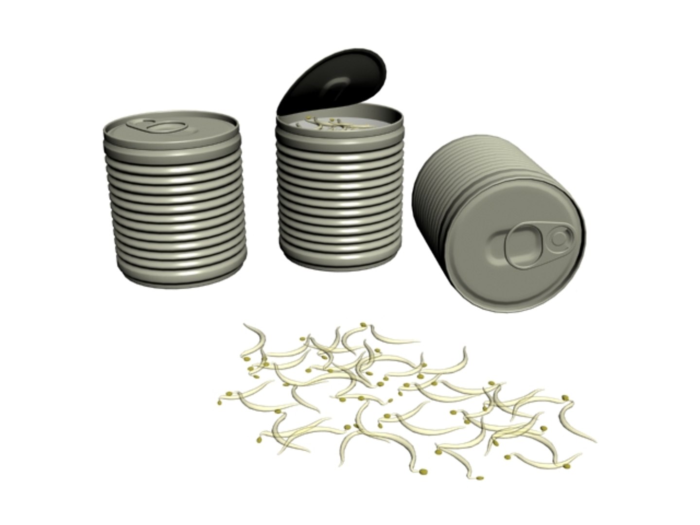 3D Bean Sprouts Tin Model - TurboSquid 1448243