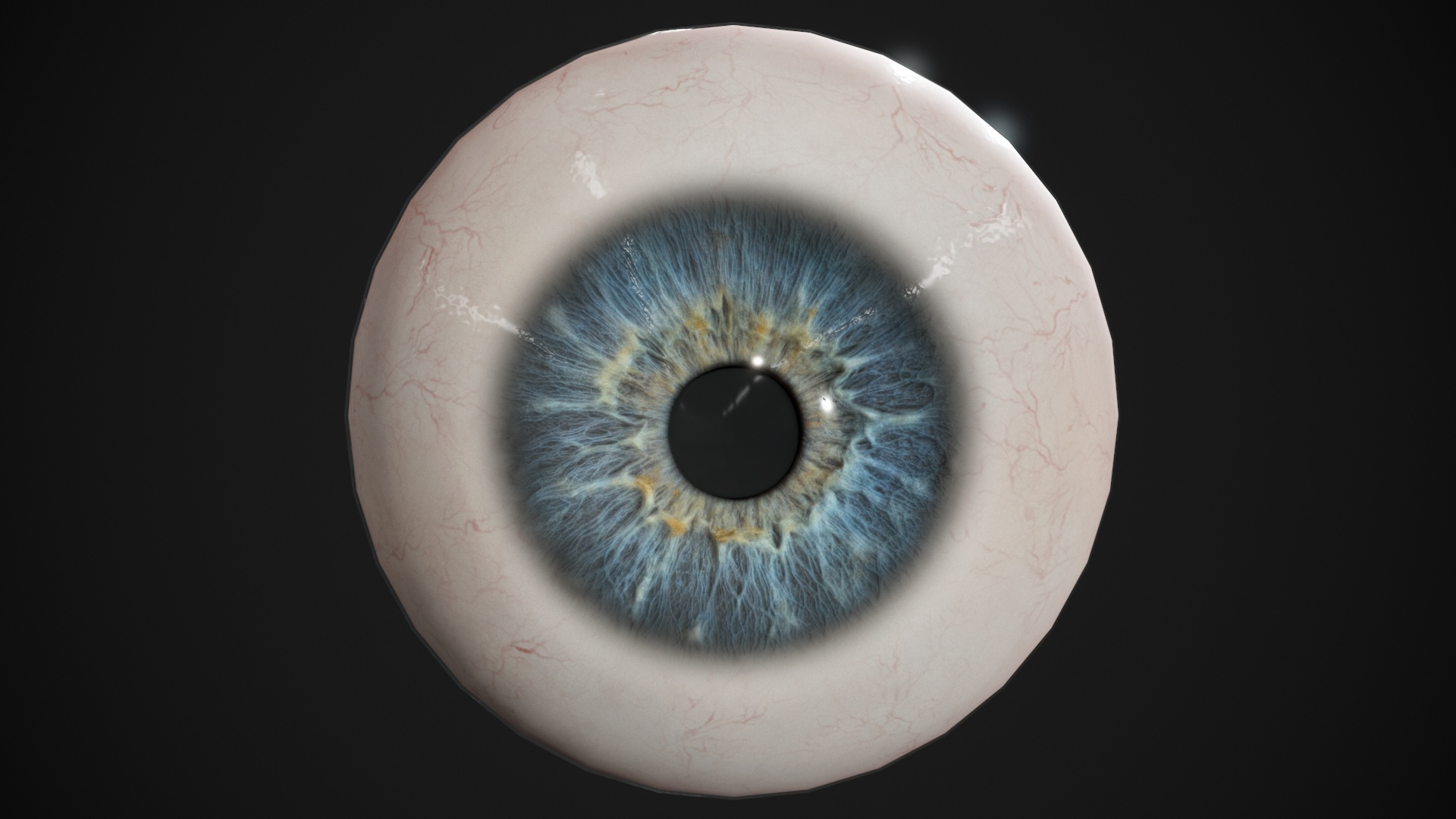 Human eye model - TurboSquid 1649107