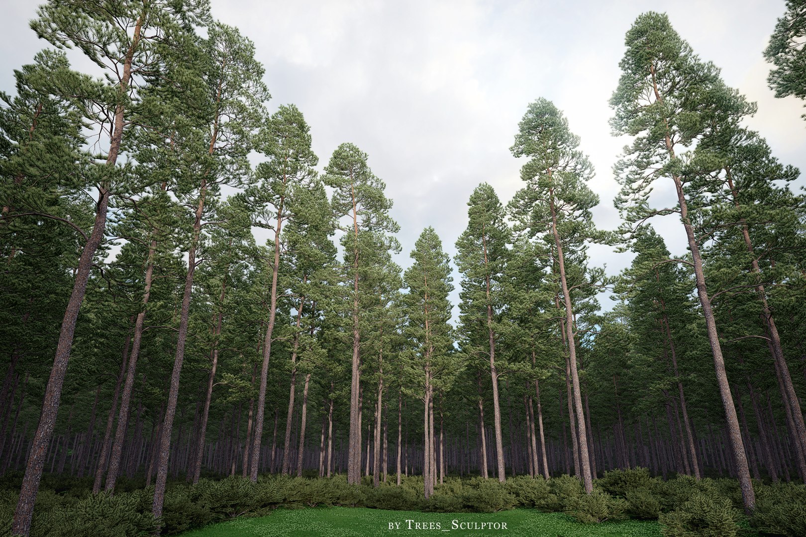 Pine Tree 3d Max