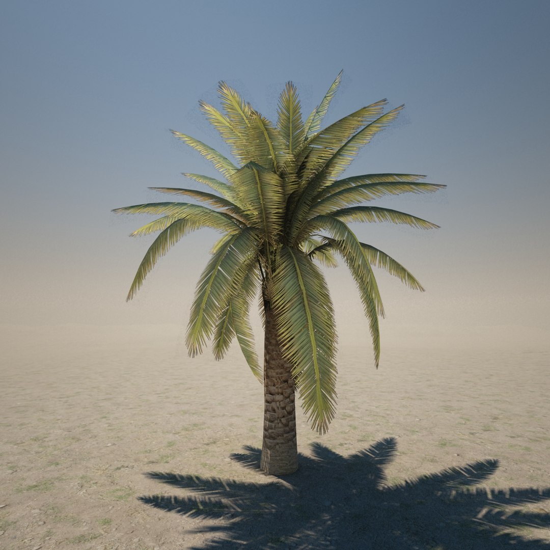 3d Obj Palm Tree