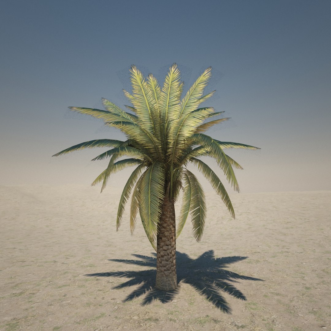 3d Obj Palm Tree