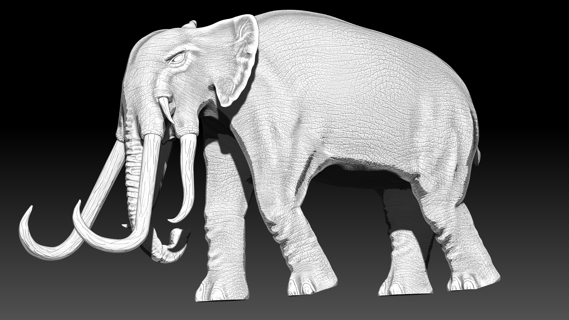 3D War Elephants Model - TurboSquid 1953451