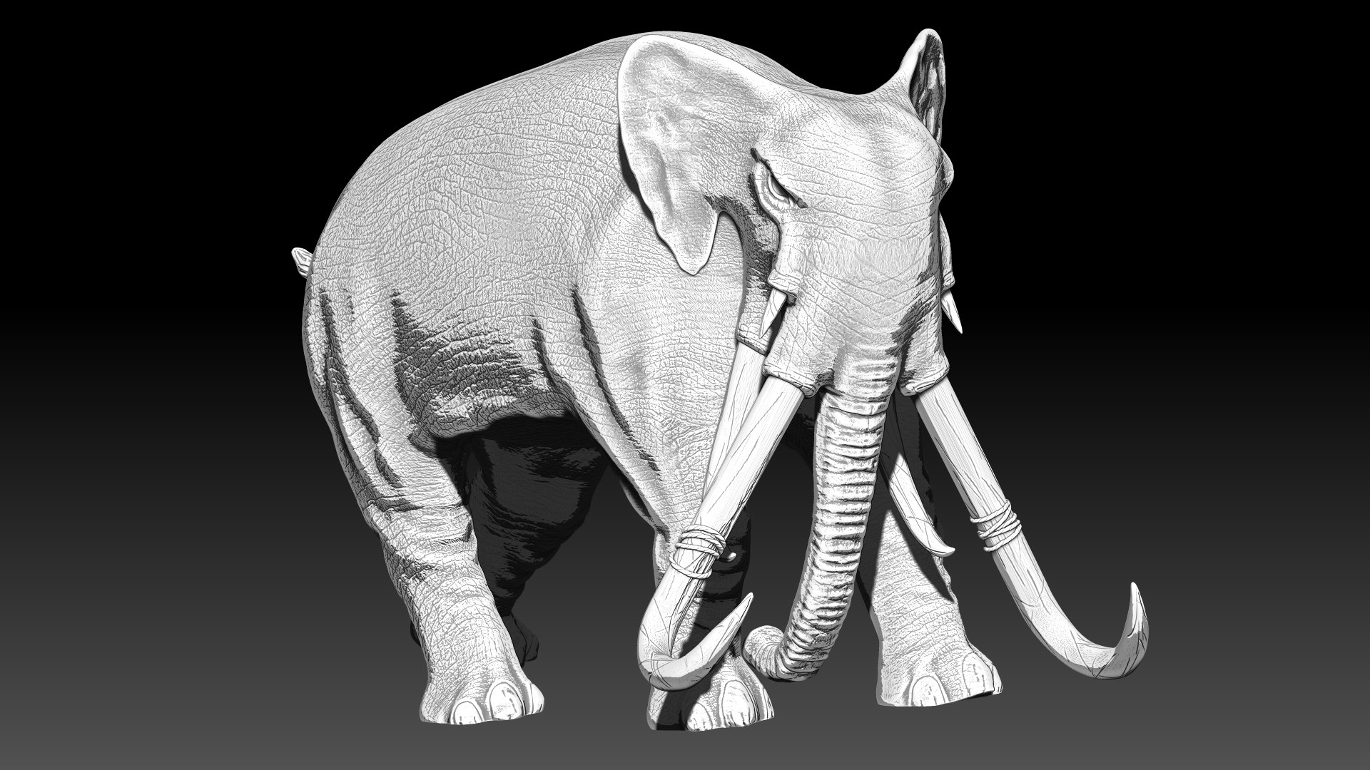 3D War Elephants Model - TurboSquid 1953451