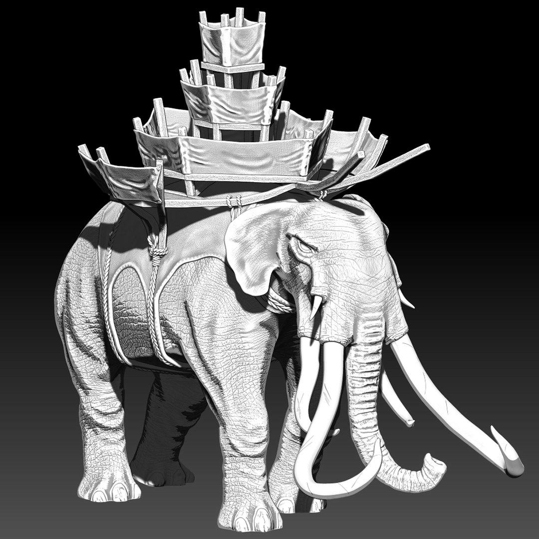 3D War Elephants model - TurboSquid 1953451