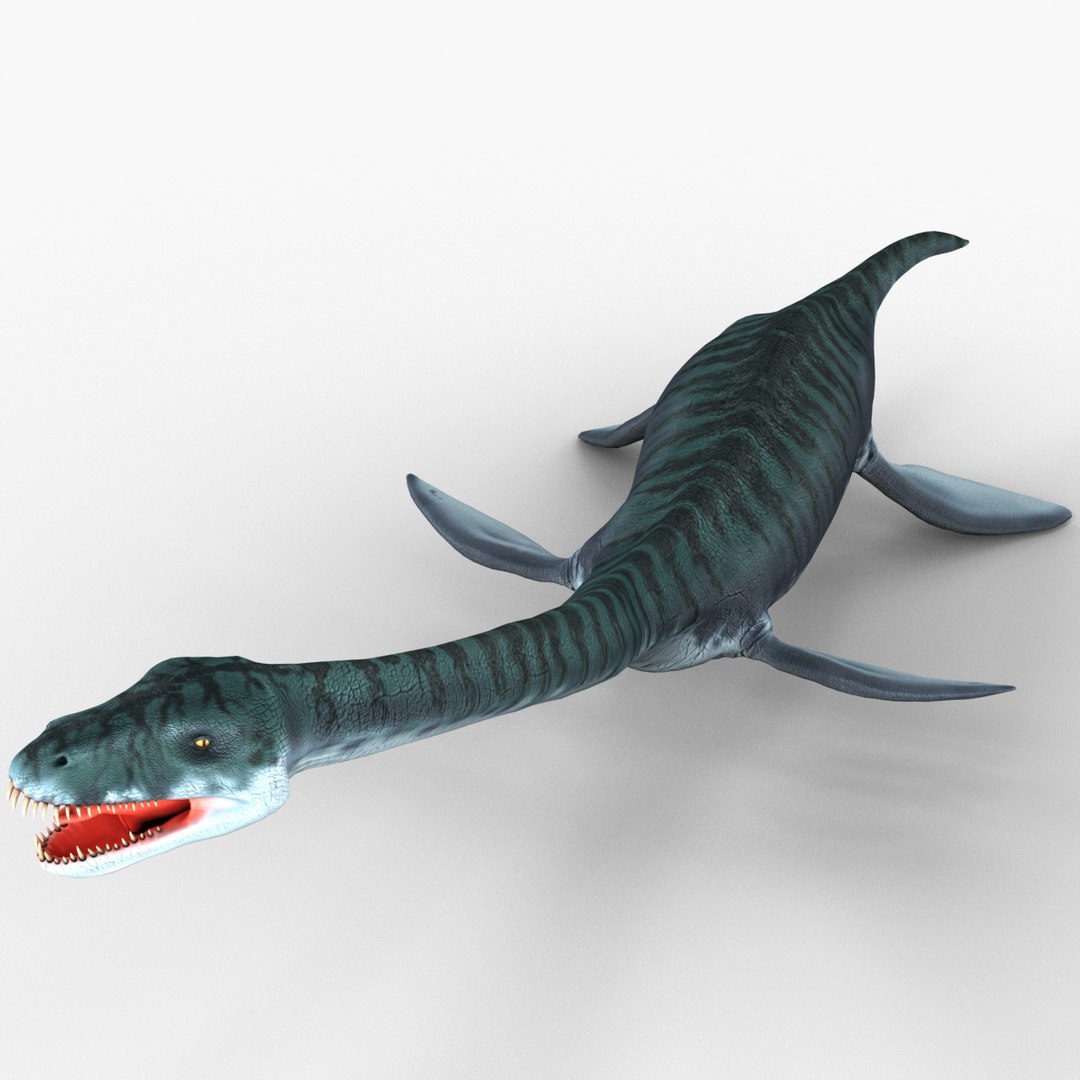 3d Plesiosaur Pose 1