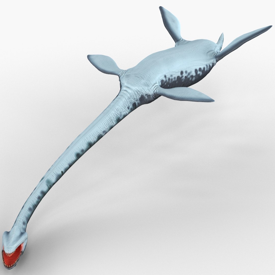3d Plesiosaur Pose 1
