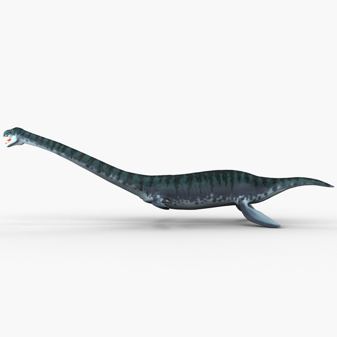 3d Plesiosaur Pose 1