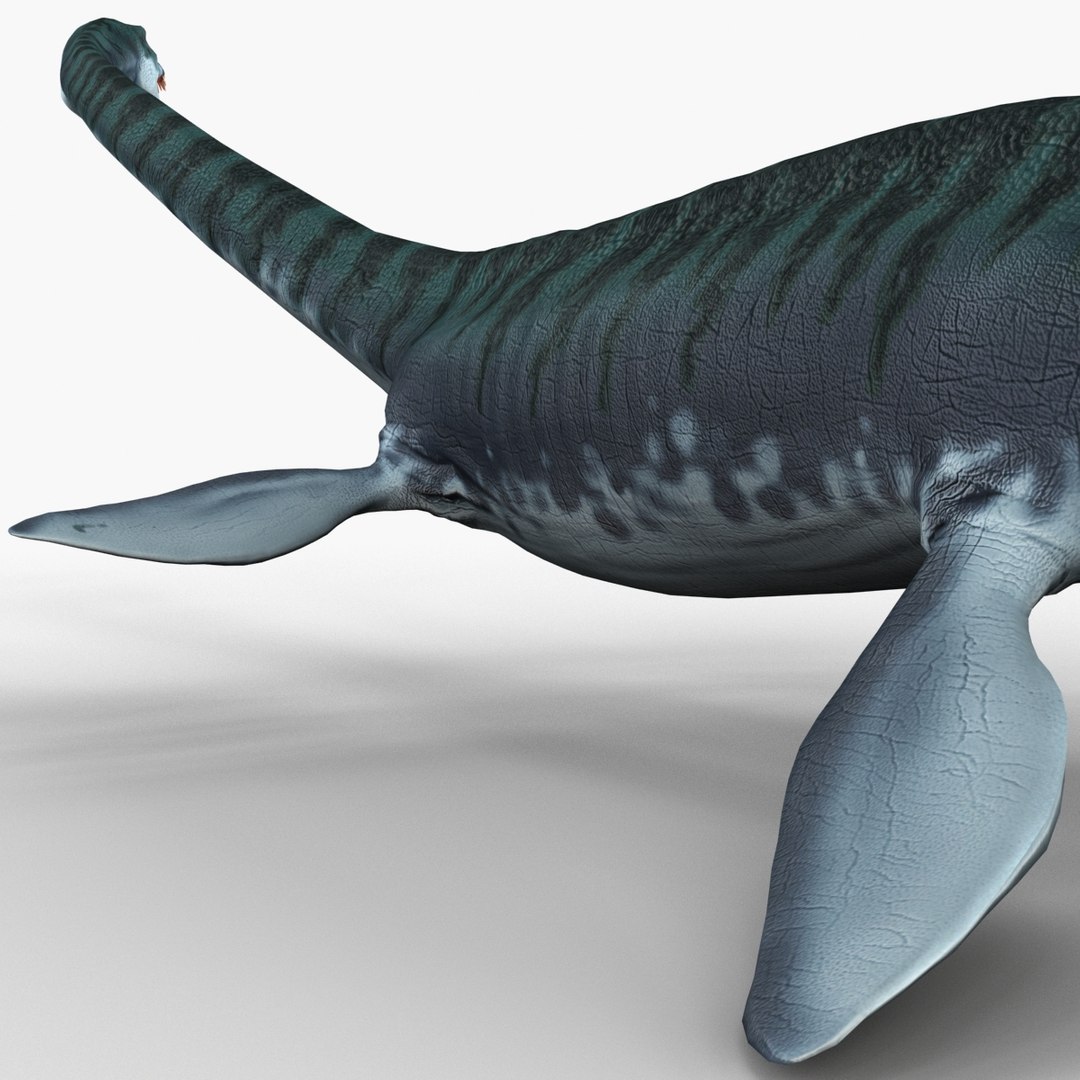3d plesiosaur pose 1