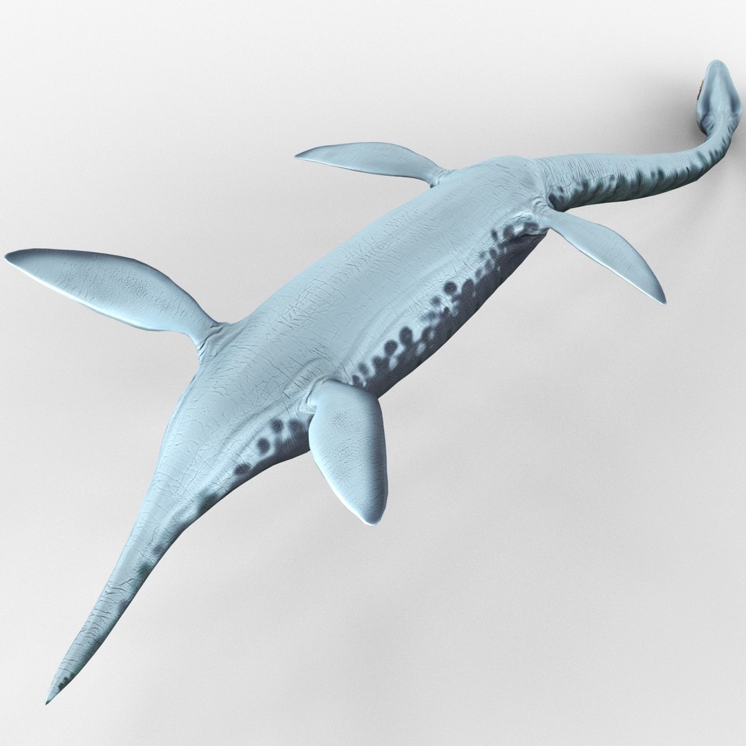 3d Plesiosaur Pose 1
