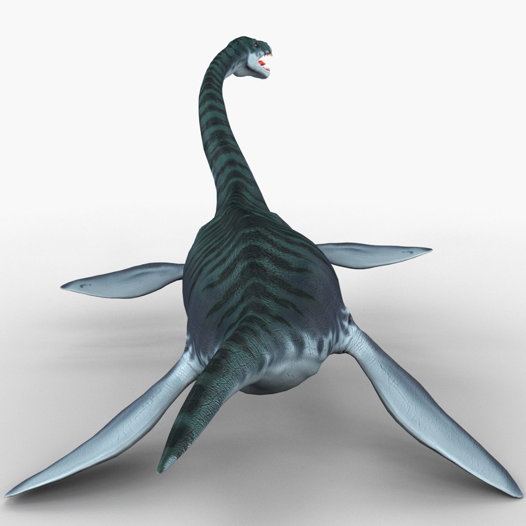 3d Plesiosaur Pose 1