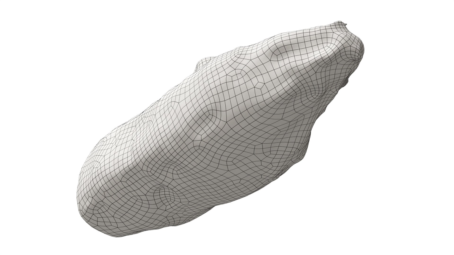 3D Boiled Ham Piece - TurboSquid 2339159